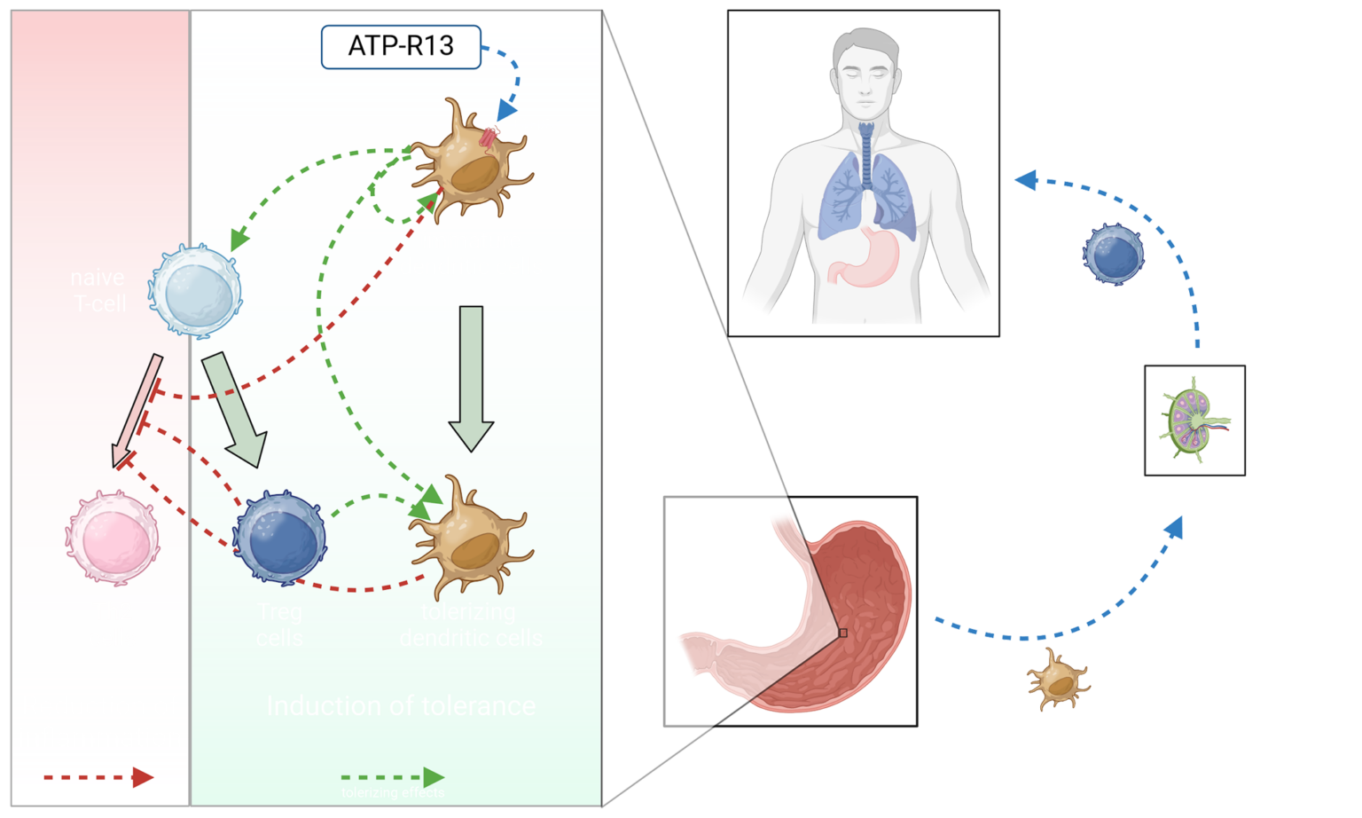 Atopia - Allergy Therapy Atopic - ATOPIA TX