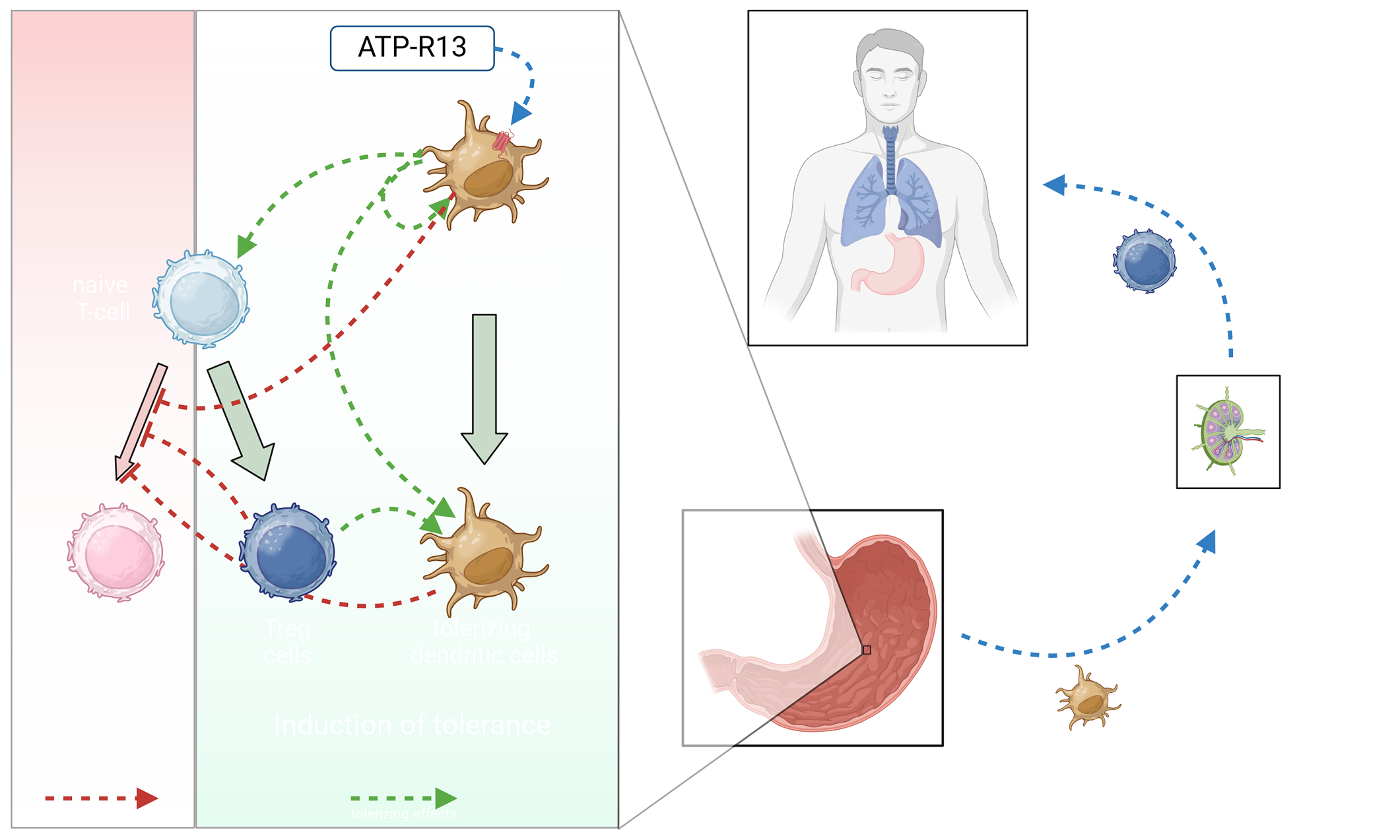 Atopia - Allergy Therapy Atopic - ATOPIA TX